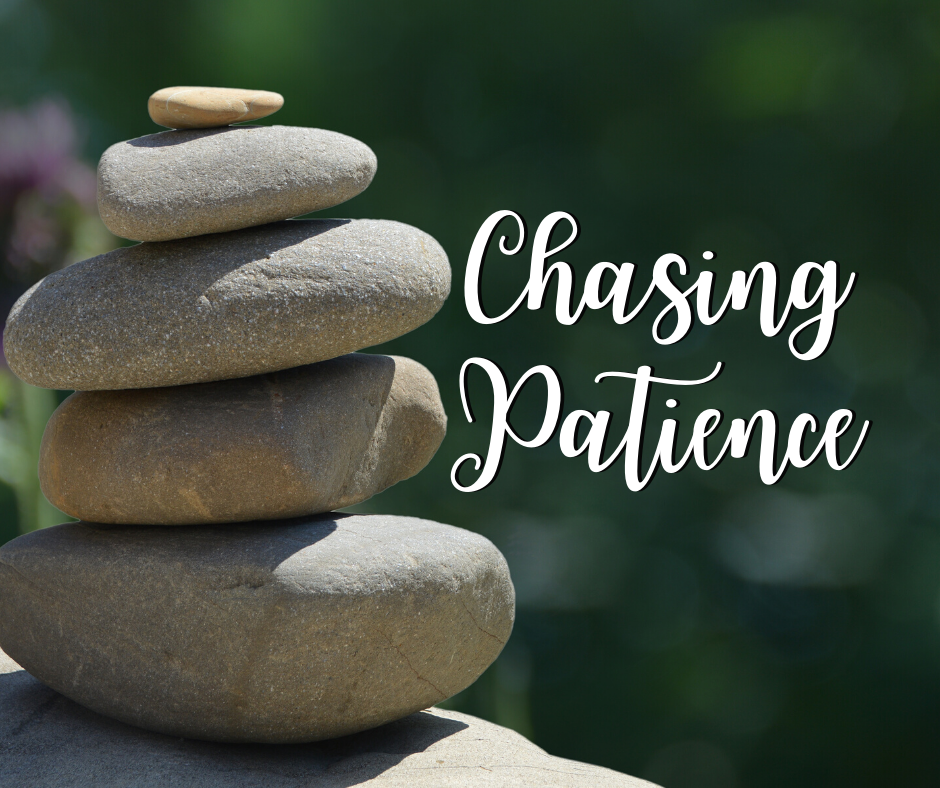 Chasing Patience – thefithouse