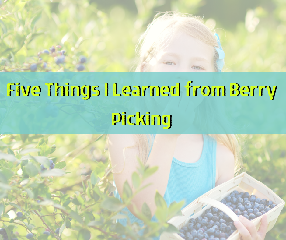 Five Things I Learned from Berry Picking – thefithouse